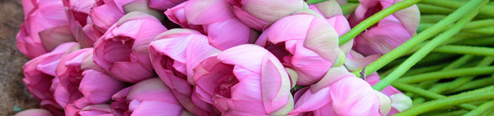 ネットショップ『ミミュウ』＊アジア～ベトナムのお洋服＊